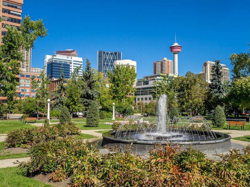 Planning your weekend? | Calgary & Surrounding Area